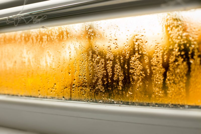 Is Water in the Track of Your New Windows Freaking You Out?